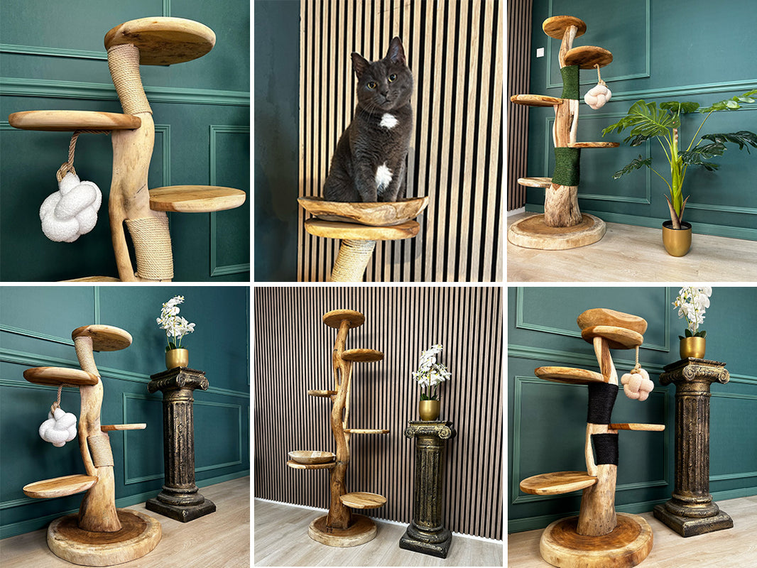 Maatwerk Houten Krabpalen – Perfect voor Uw Kat – TropiCasa.nl